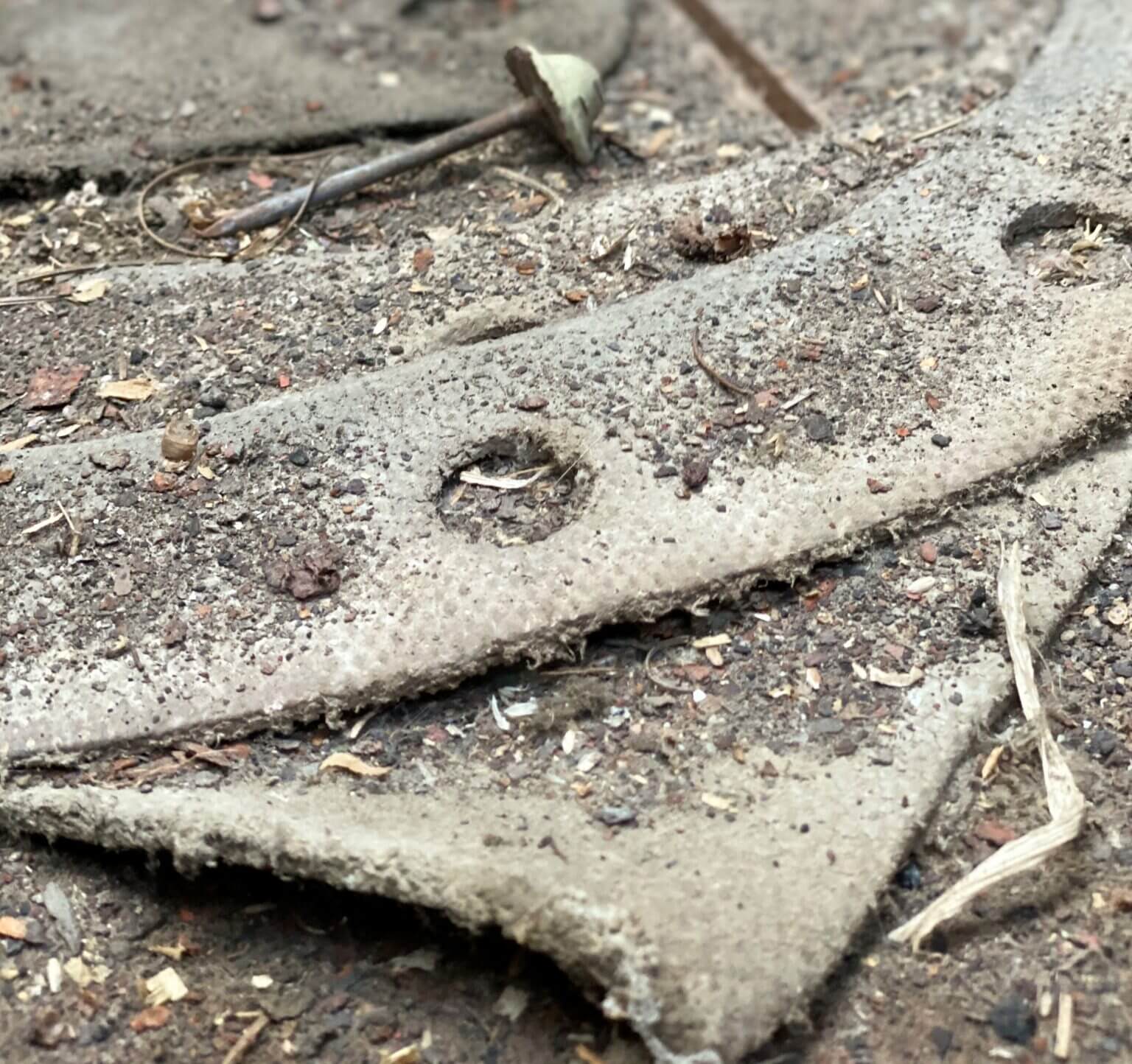 IP402 Asbestos Surveying and Sampling Training Course NZ | Wellington ...