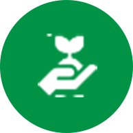 Recycle Pallets Auckland, North Shore, South Auckland