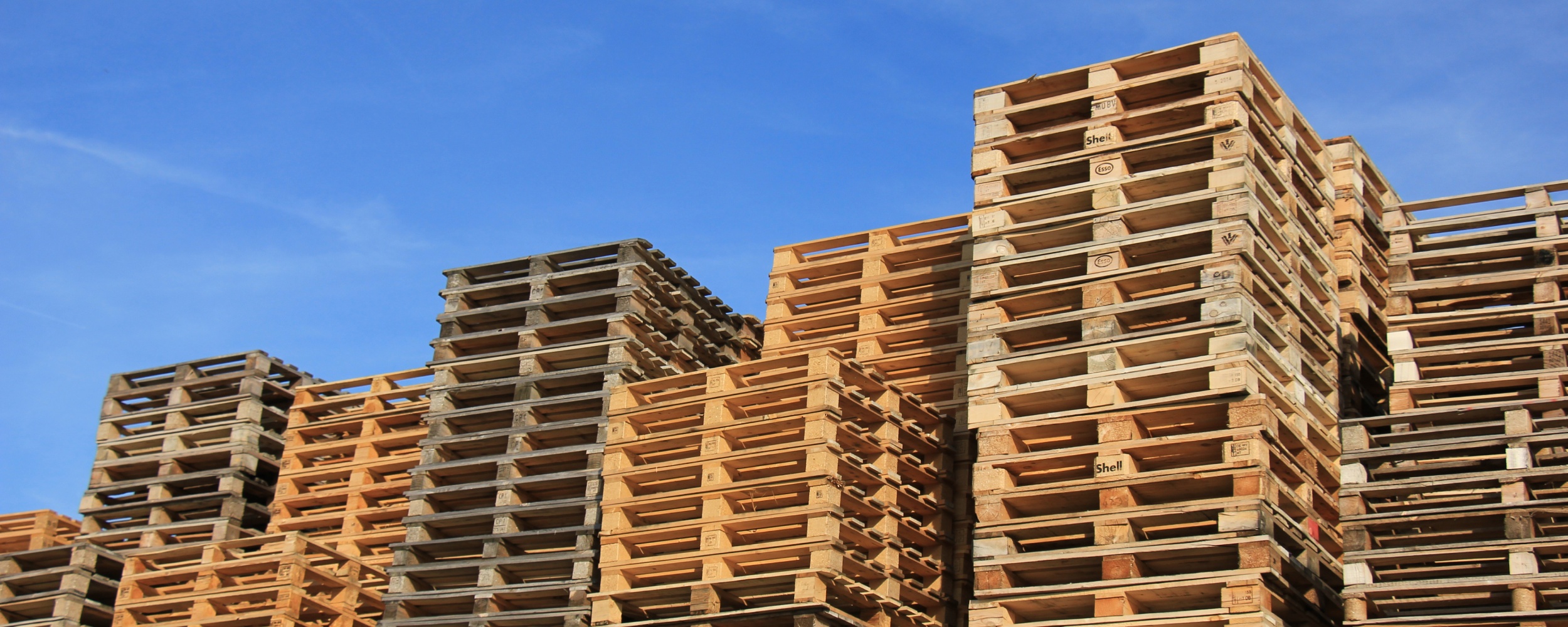 Waste Management Wood Pallets Auckland, Henderson, North Shore