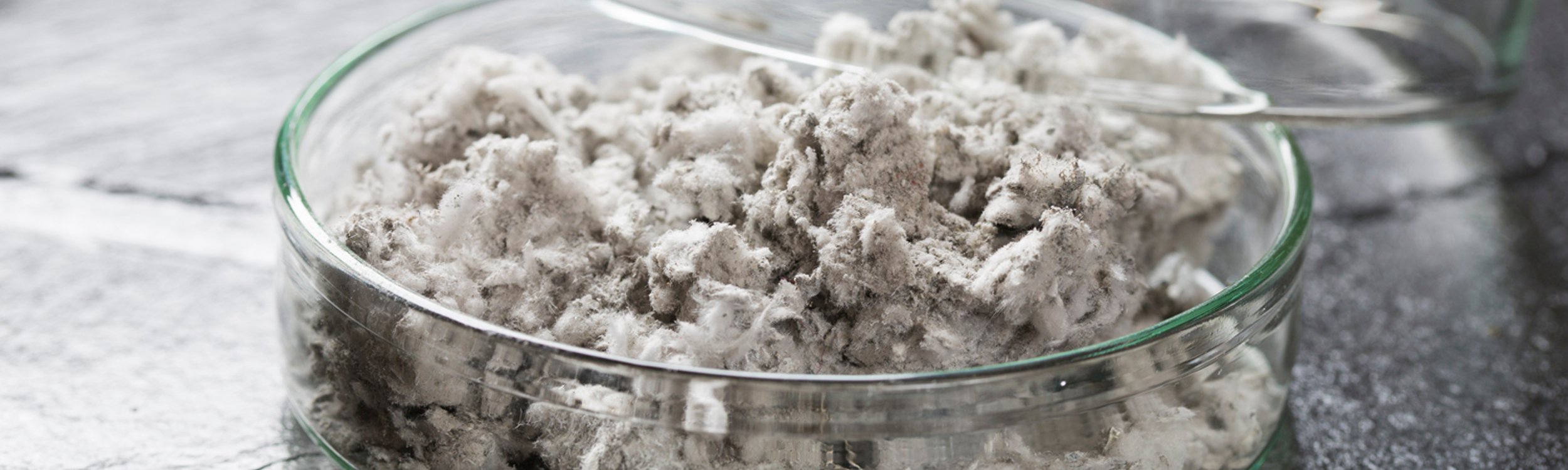 Asbestos Testing Laboratory New Zealand | Wellington | Auckland