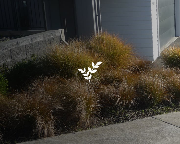 landscaping wellington | landscape gardening wellington